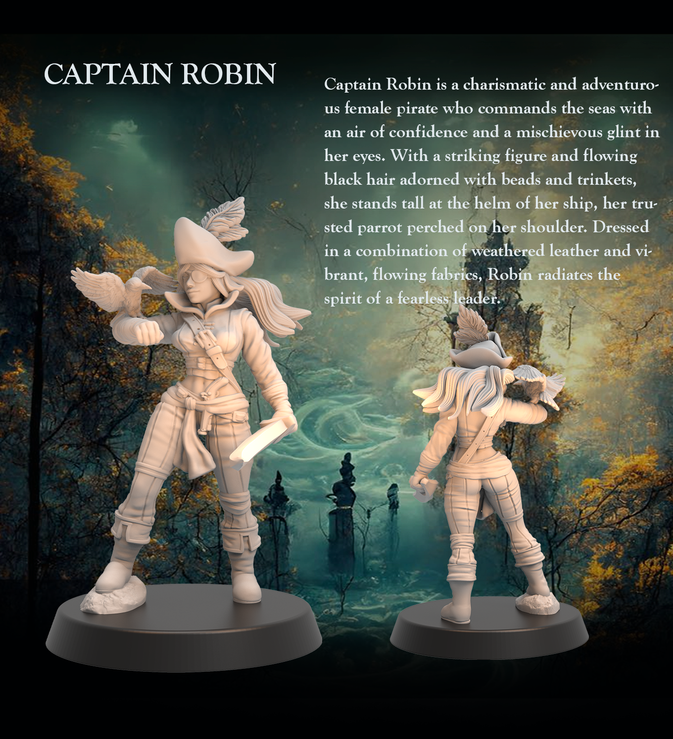 Tabletop Heroes - Robin the Pirate Captain – Midgard Print and Paint